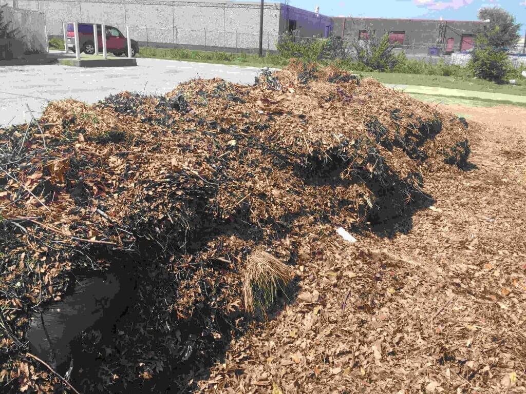 How Texas Worm Ranch Produces 10,000 Lbs of Vermicompost Per Month