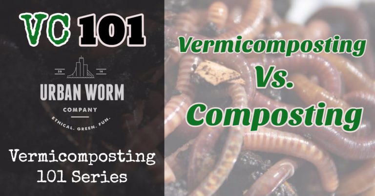Vermicomposting: The Ultimate Guide for the Beginner and Beyond