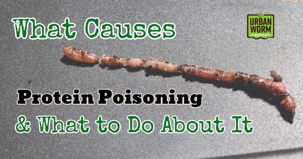 Complete Guide to Continuous Flow Vermicomposting