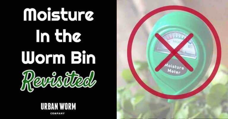 Guide to Red Wiggler Composting Worms: Everything You Need to Know