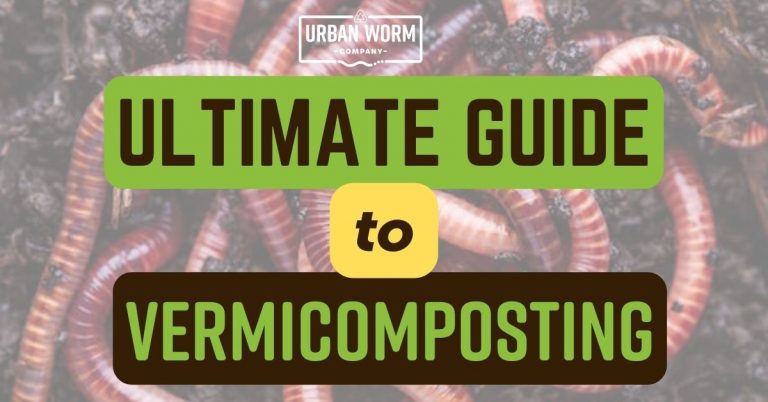 Vermicomposting: The Ultimate Guide for the Beginner and Beyond