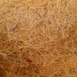 Guide to Coconut Coir: How is It Used and Why?