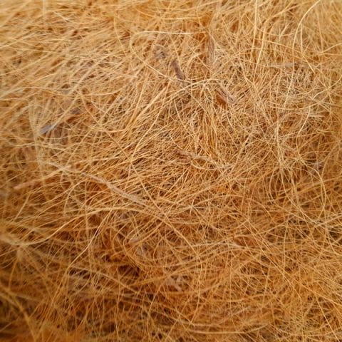 Guide to Coconut Coir: How is It Used and Why?