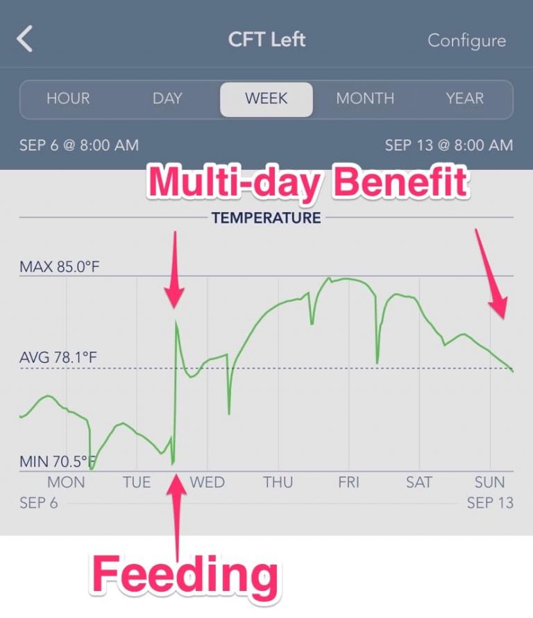 Winter Vermicomposting: How to Keep a Worm Bin Warm When It's Cold
