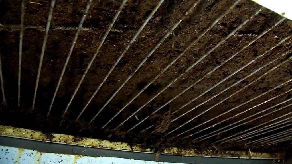 Complete Guide to Continuous Flow Vermicomposting