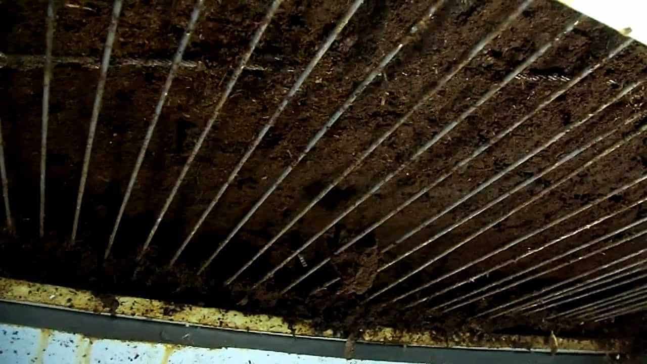 Complete Guide to Continuous Flow Vermicomposting