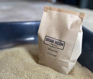 What Do Worms Eat? A Road Map for What To Feed Your Worms