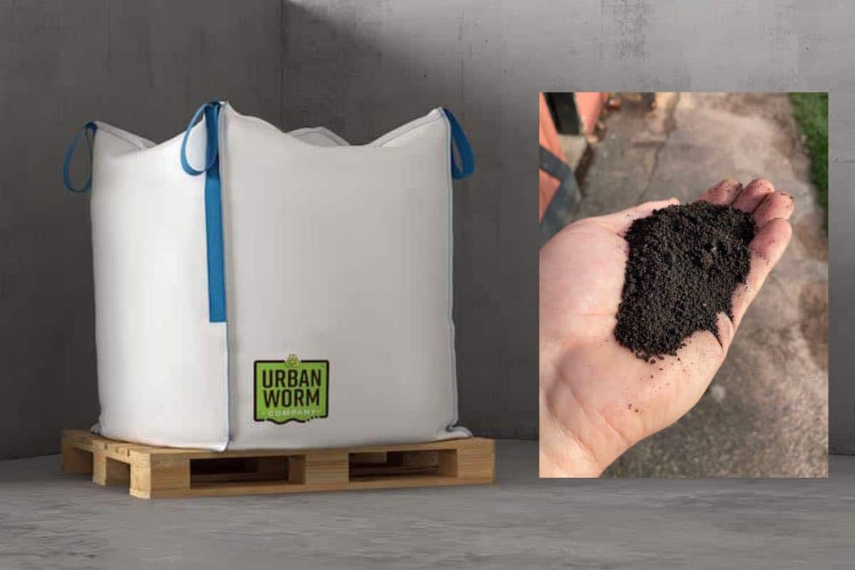 Bulk Worm Castings Buyer's Guide: What To Expect When Buying Black Gold