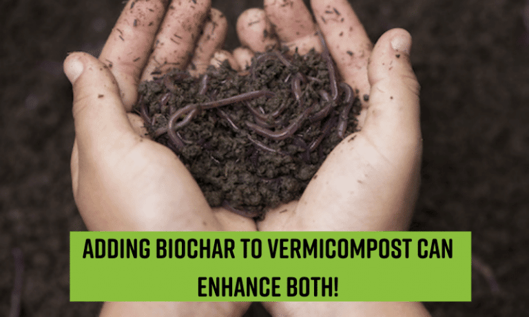 Biochar 101: Your Intro to the "Manhattan of Microbes"