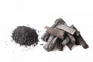 Biochar 101: Your Intro to the "Manhattan of Microbes"