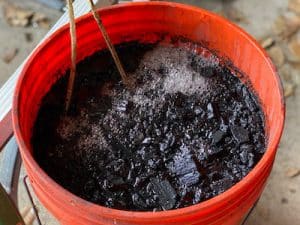 Biochar 101: Your Intro to the "Manhattan of Microbes"