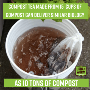 Compost Tea: The Smart Way to Boost Soil Microbes