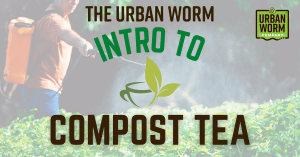 5 Good Reasons to Start a Commercial Worm Farm. And 4 Bad Ones