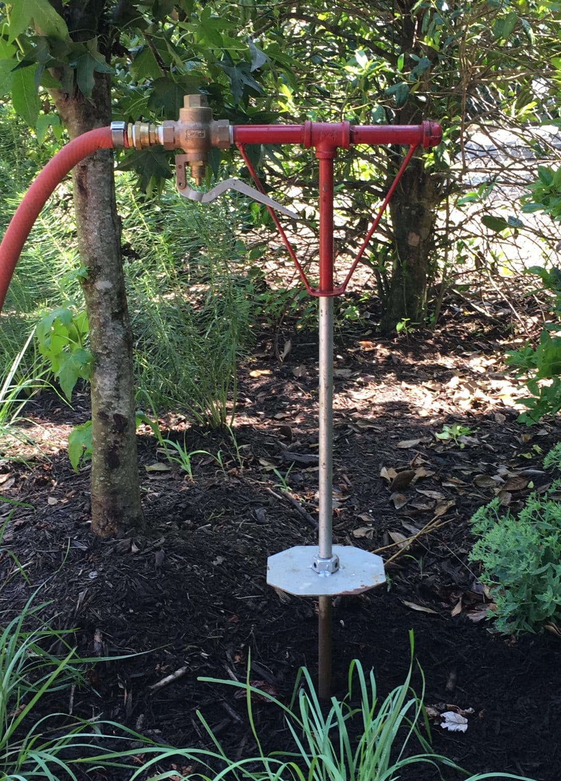 How And When to Apply Compost Tea....and How Much