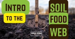 Complete Guide to Continuous Flow Vermicomposting