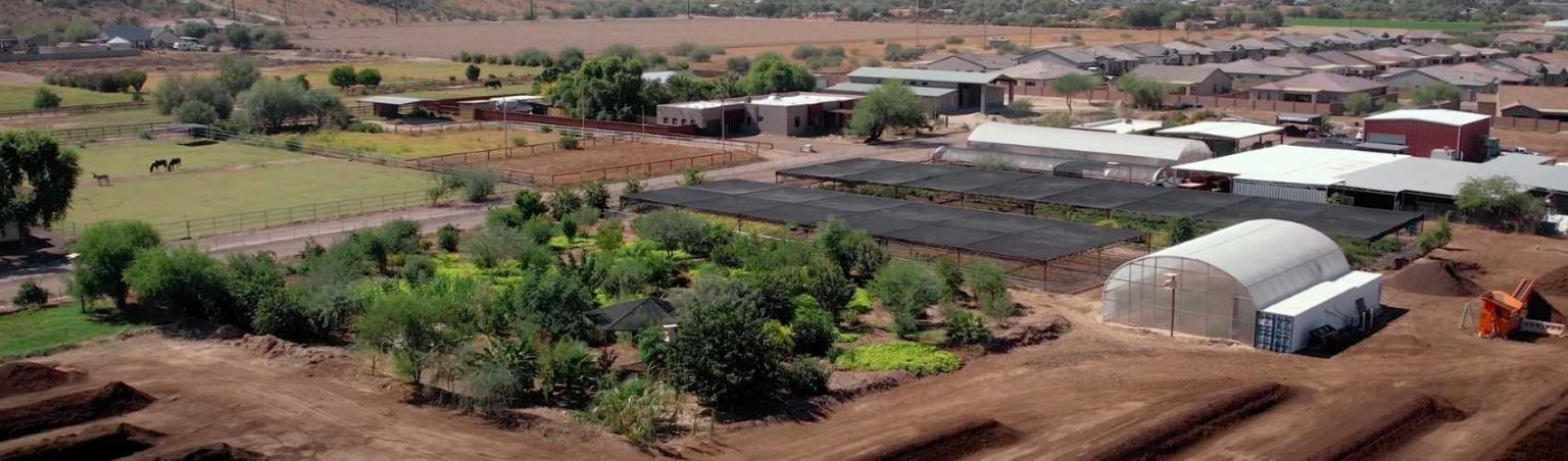 Vermicomposting: The Ultimate Guide for the Beginner and Beyond